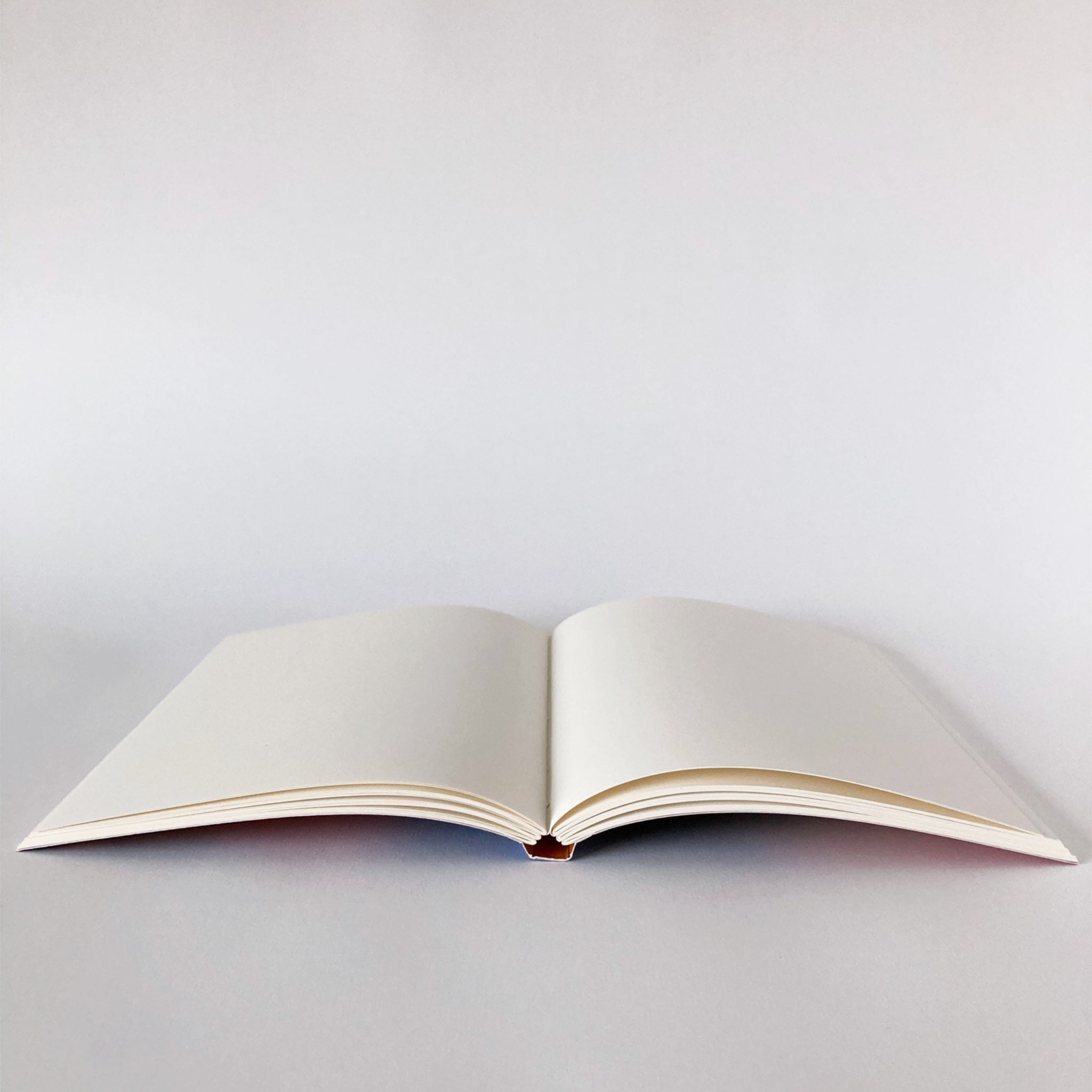 About Us – Odd Orange