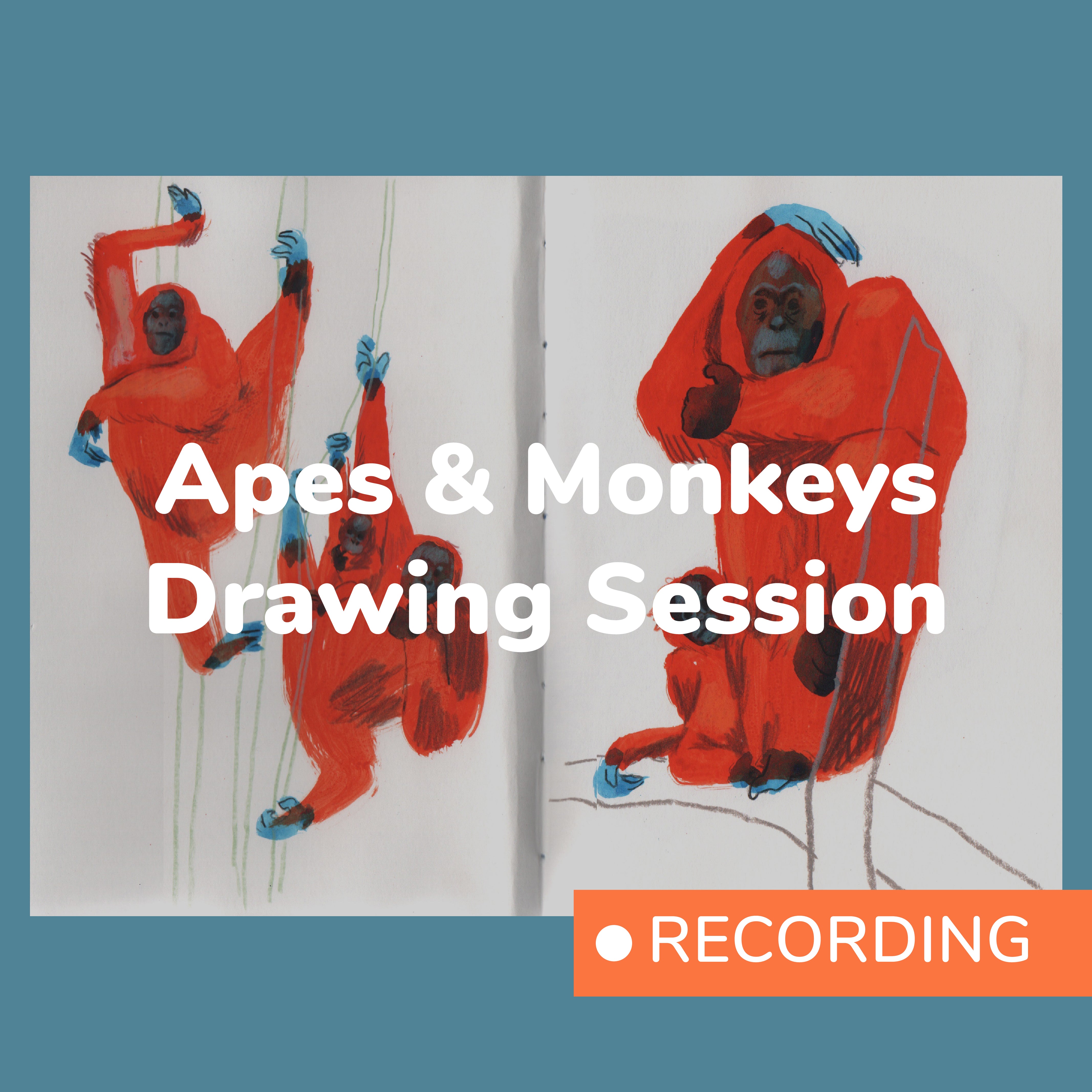 RECORDING: Apes and Monkeys Drawing Session – Odd Orange