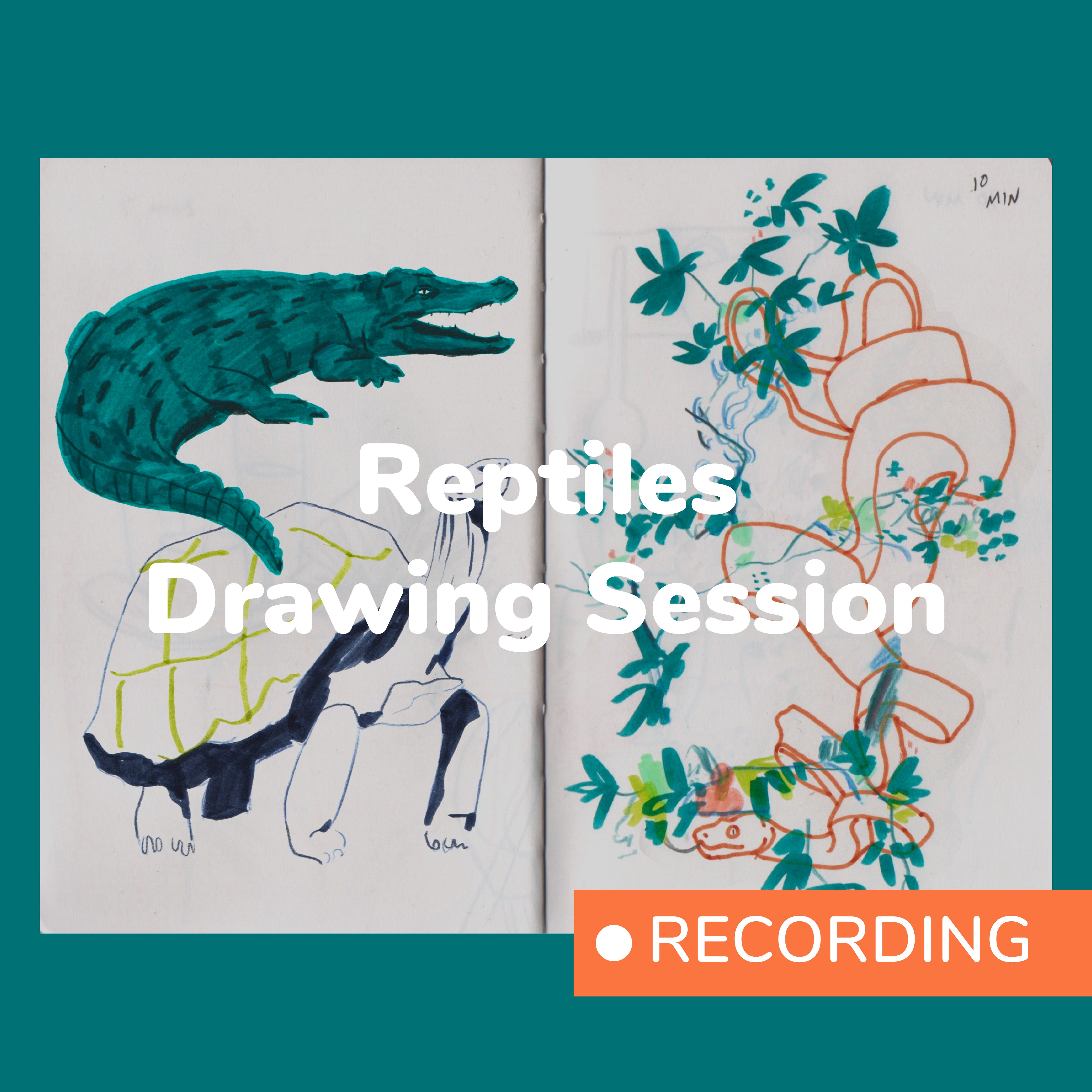 RECORDING: Reptiles Drawing Session – Odd Orange