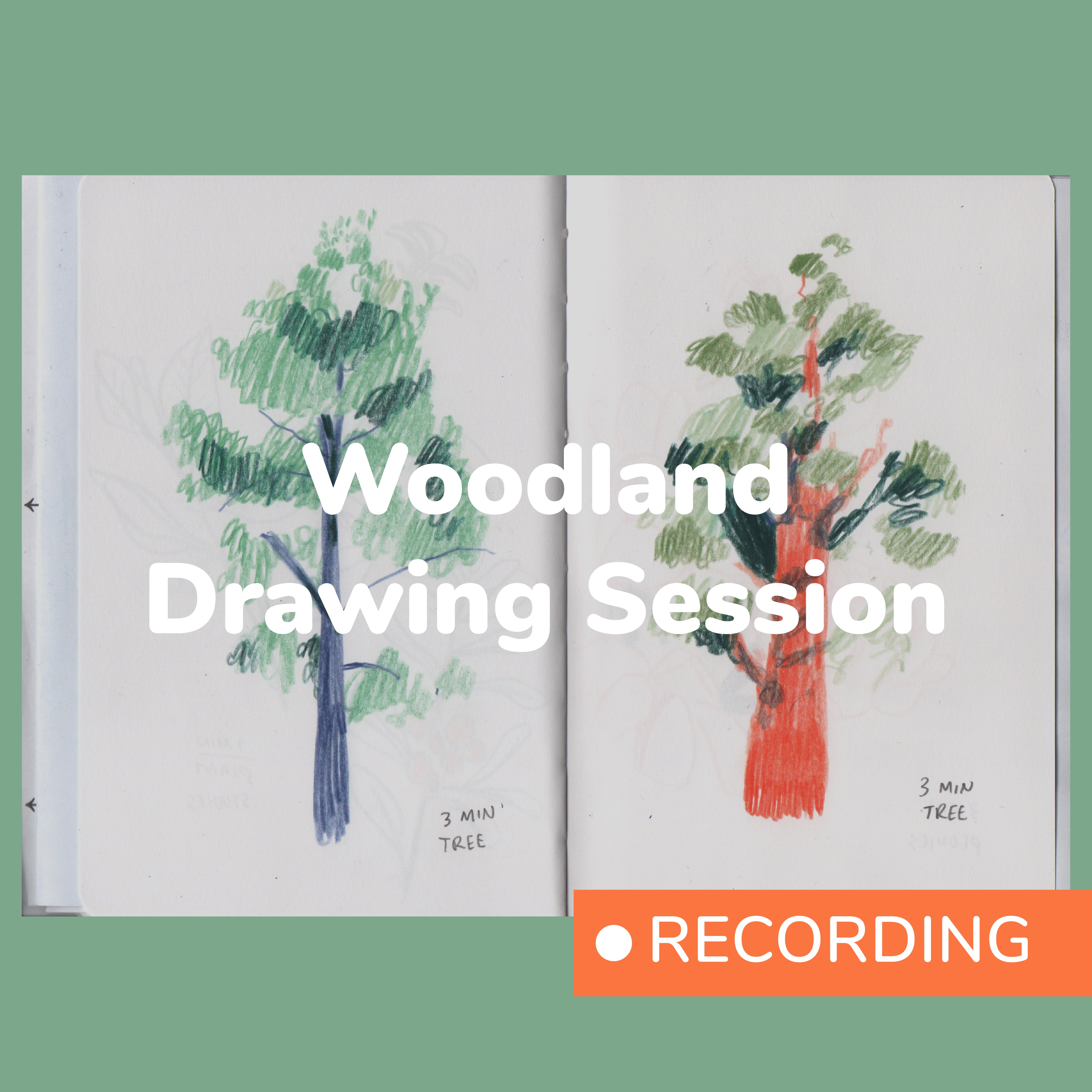 RECORDING: Woodland Drawing Session – Odd Orange